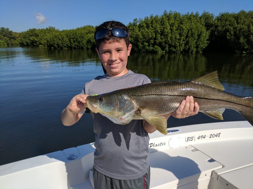 fish reporting | Trout Lie