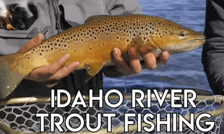The Ultimate Outdoorsman Itinerary | Trout Lie